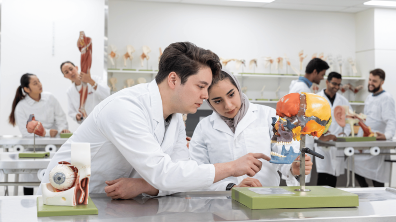 IEU – International European University